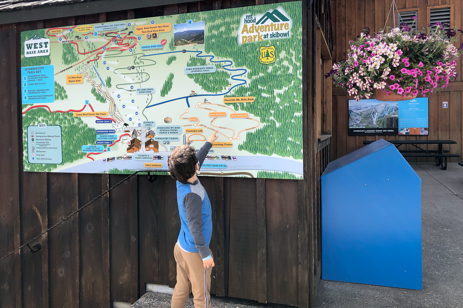 ALPINE SLIDE | Dexter Ludwig